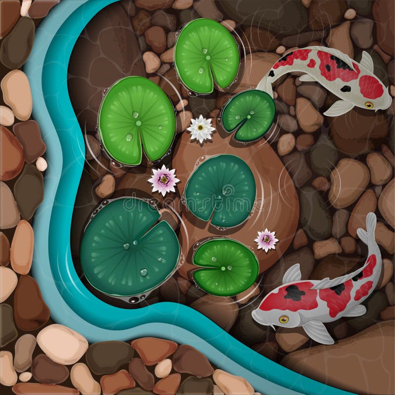 Cartoon Koi Fish Swimming in the Pond Stock Vector - Illustration of ...