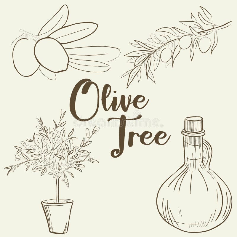 Print Set of Line Art of Olive Tree. Vector Illustration. Stock Vector ...
