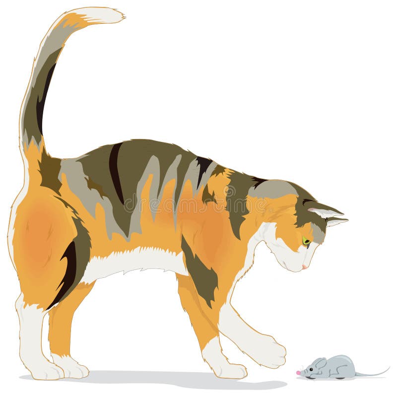 Cat Eat Fight Mouse Animal Vector Illustration Transparent Background ...