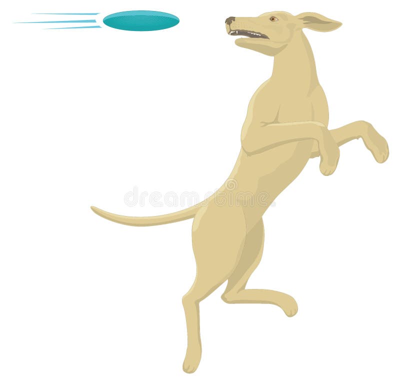 Dog Frisbee Cartoon Stock Illustrations – 161 Dog Frisbee Cartoon Stock ...