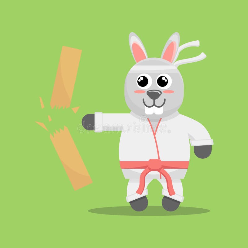 Karate Bunny