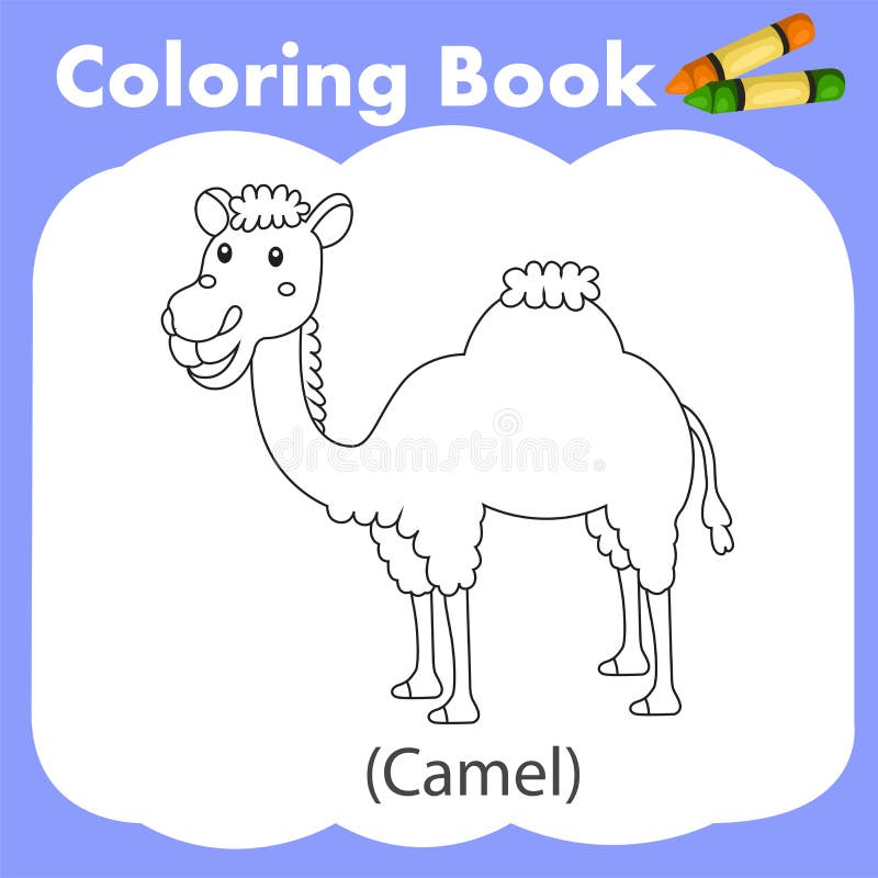 Illustrator of Coloring Book Camel Stock Vector - Illustration of ...