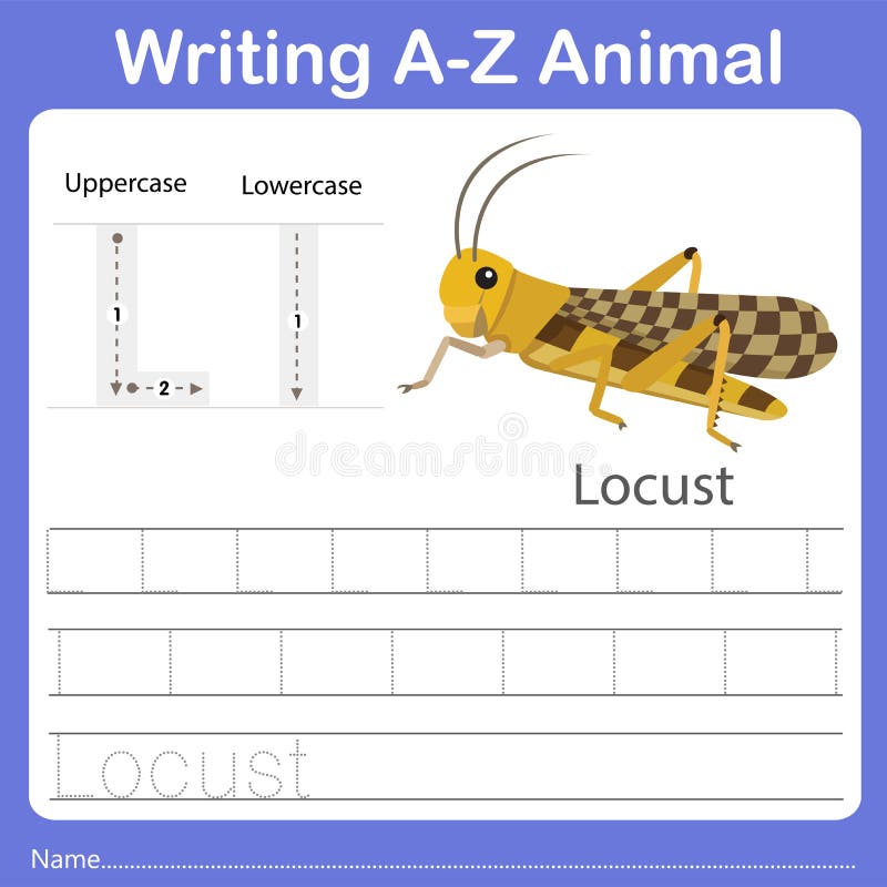 Illustrator of Writing a - Z Animal L Locust Stock Vector ...