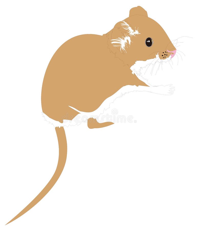 Cute Mouse Transparent Background Stock Illustrations – 208 Cute Mouse ...