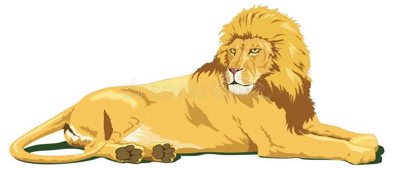 Golden Yellow Lion Lay Animal Vector Illustration Transparent ...