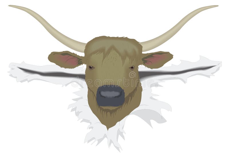 Longhorn Head Face Animal Vector Illustration Transparent Background ...