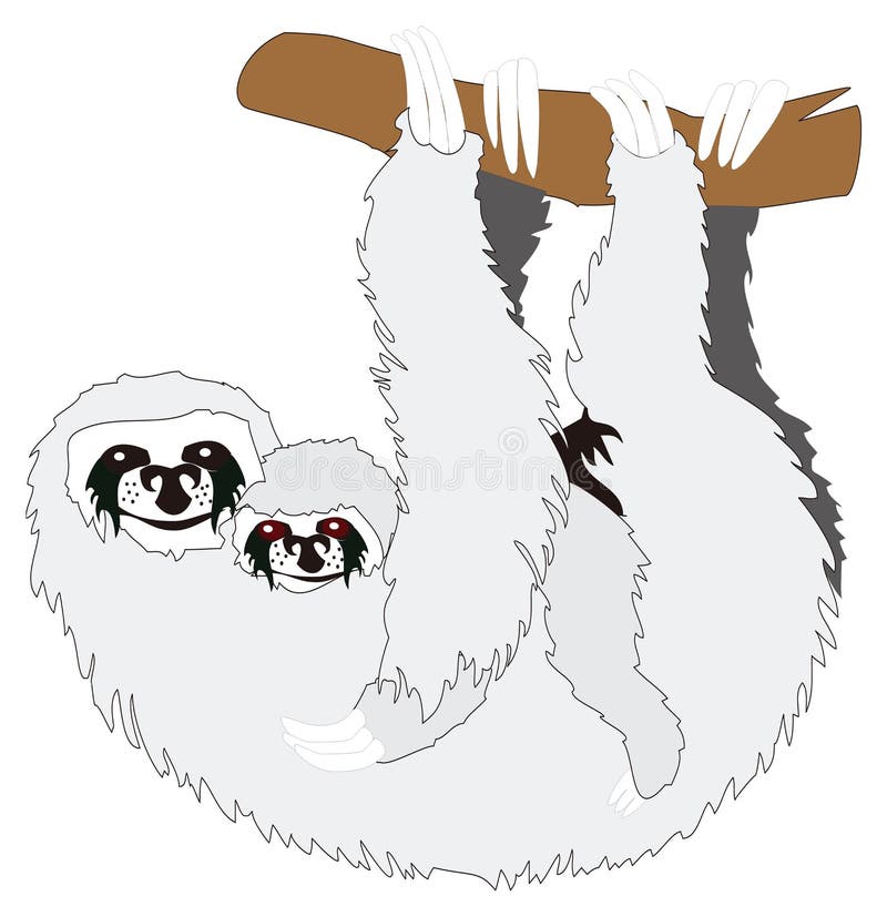 Sloth Tail Stock Illustrations – 595 Sloth Tail Stock Illustrations ...