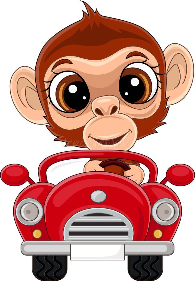 Cartoon Baby Monkey Driving Red Car Stock Vector - Illustration of ...