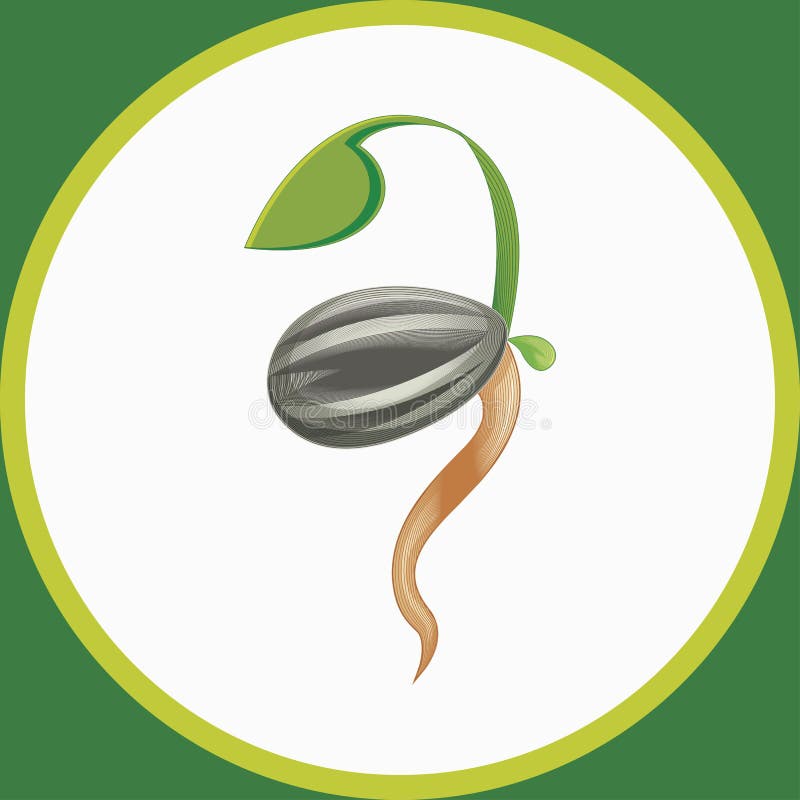 Planting Seed Sprout in Ground. Symbol Grow Sapling. Green Fresh Plant ...