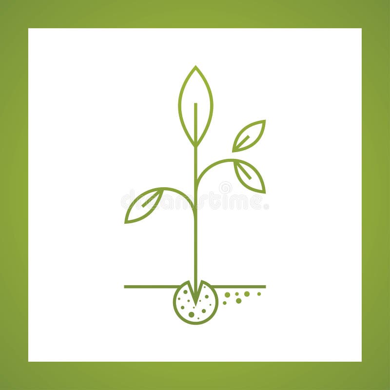 Planting Seed Sprout in Ground. Symbol Grow Sapling. Green Fresh Plant ...