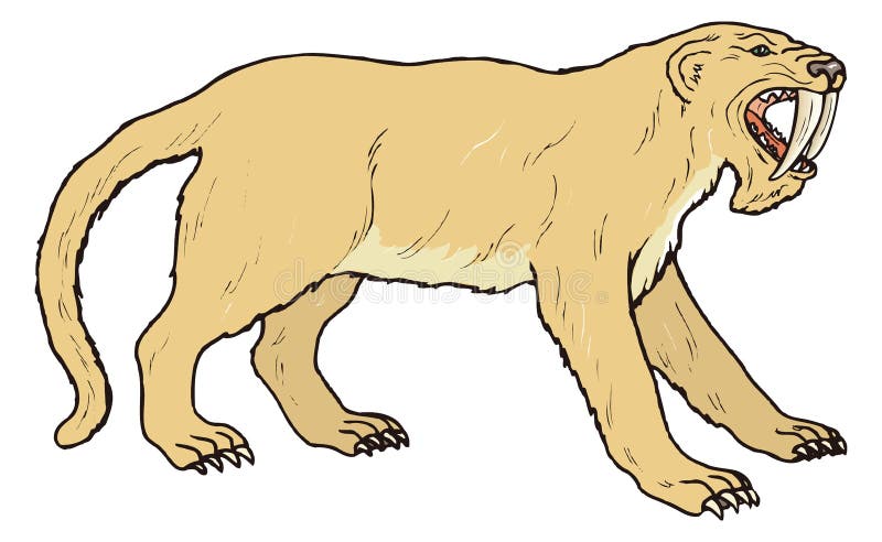 Saber Sabre Barbourofelis Fricki Tiger Dinosaur Ancient Vector ...