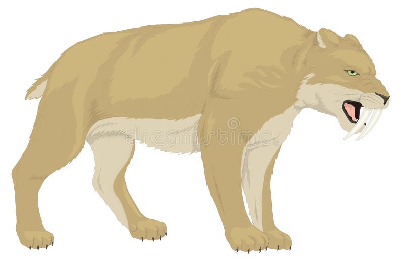 Sabre Toothed Tiger Background Stock Illustrations – 37 Sabre Toothed ...