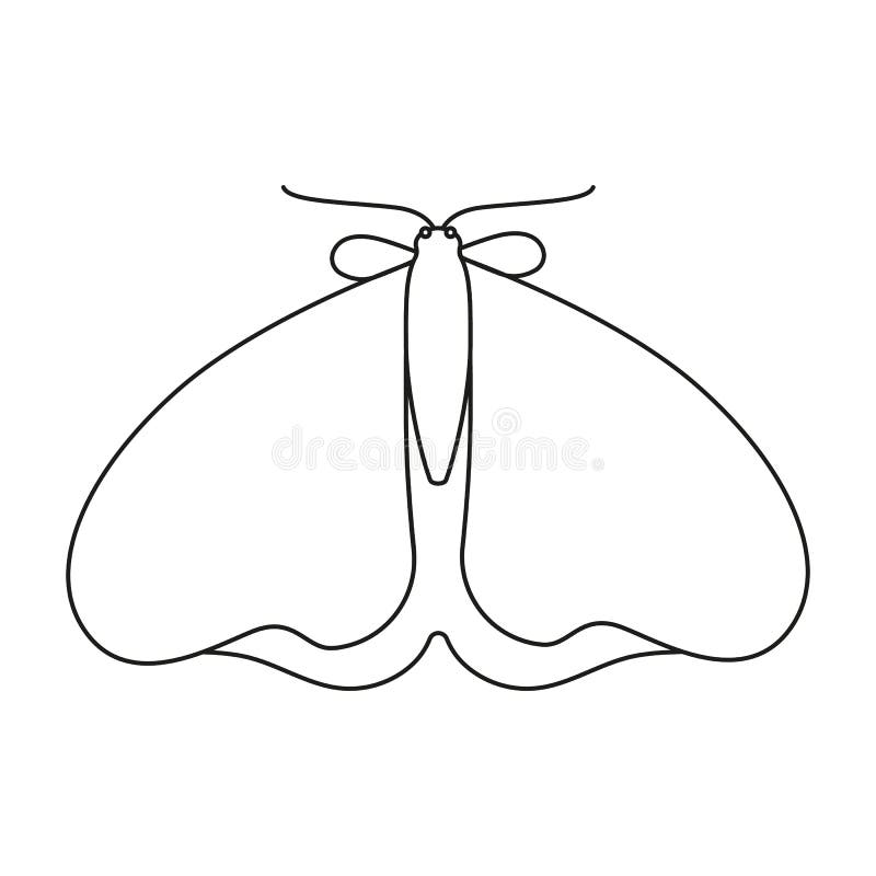 Outline Moth, Decorative Element, Flat Design. Isolated Vector ...