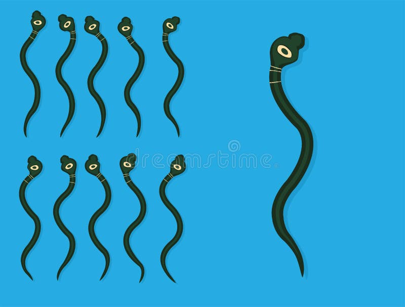 Animal Animation Sequence Spectacled Cobra Snake Cartoon Vector Stock ...