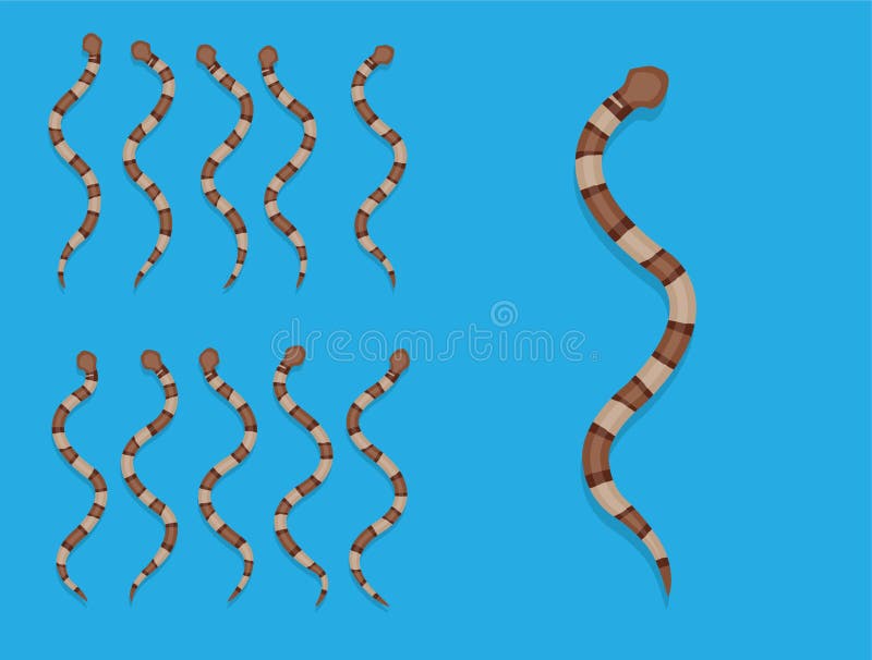 Animation Snake Moves Anatomy Cartoon Vector Illustration Stock Vector ...