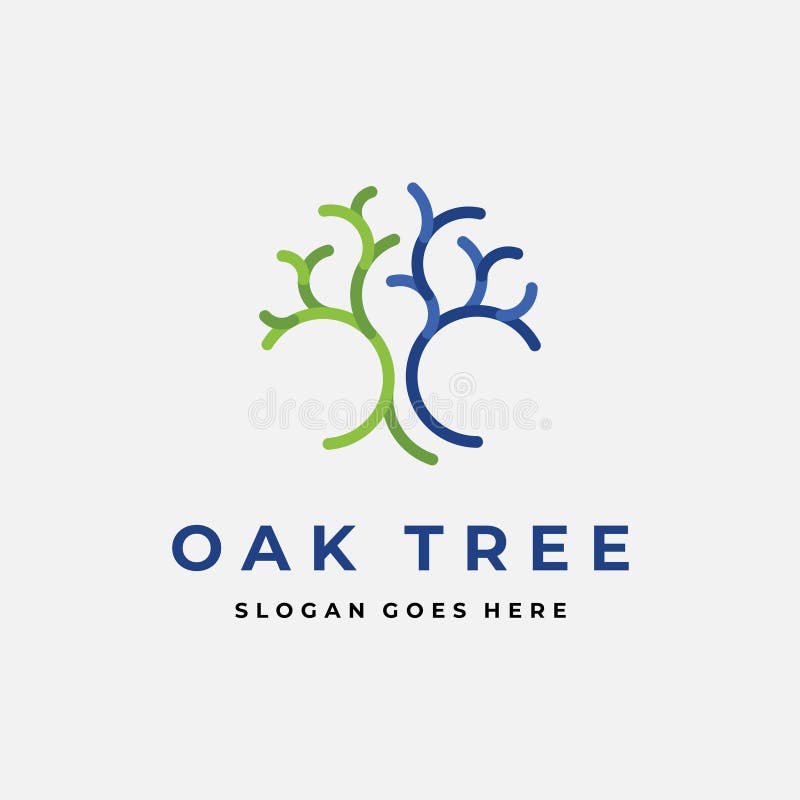 Oak Tree Logo design stock vector. Illustration of design - 224679602