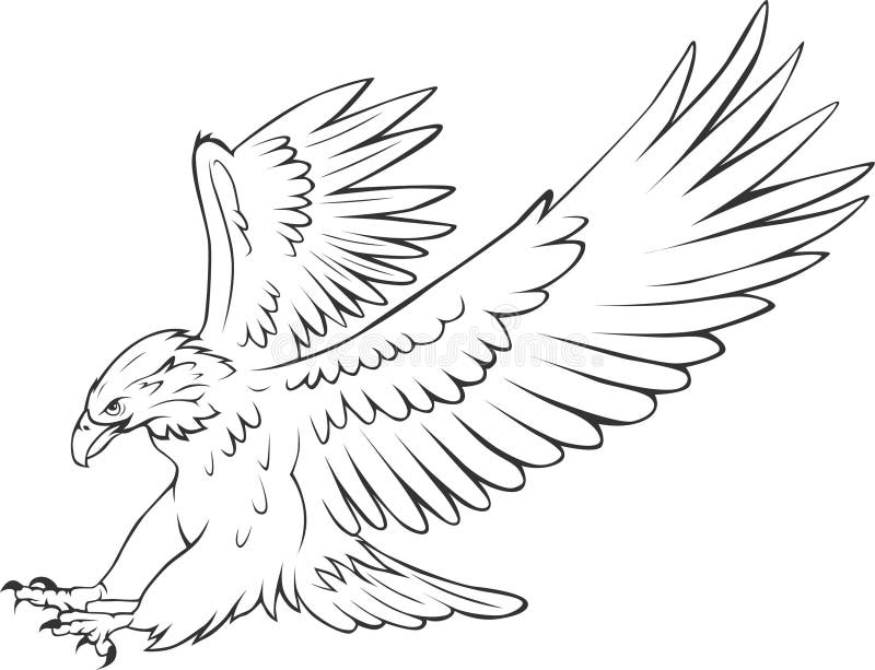 Hawk Outline Vector Illustration Stock Vector - Illustration of hawk ...