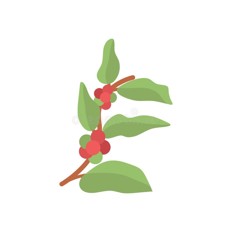 Coffee Tree Icon, Coffee Beans. Suitable for Cafe Themes, Plants ...