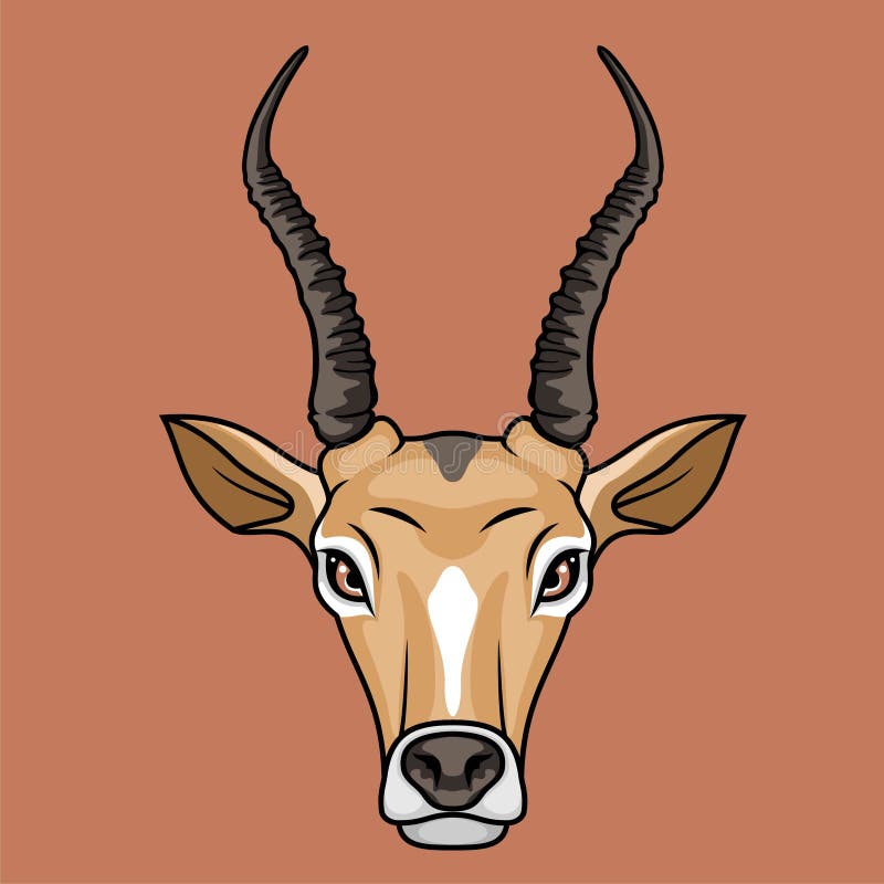 Head Impala Stock Illustrations – 883 Head Impala Stock Illustrations ...