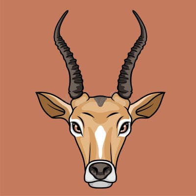 Impala Head Vector Illustration Stock Vector - Illustration of animals ...