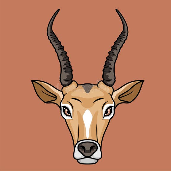 Impala Head Vector Illustration Stock Vector - Illustration of animals ...