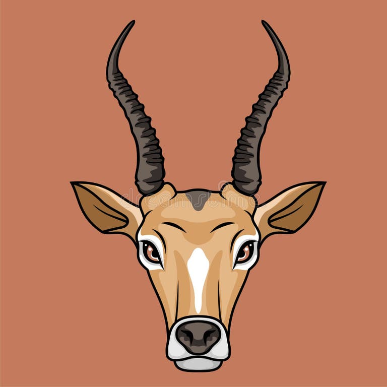 Impala Head Vector Illustration Stock Vector - Illustration of animals ...