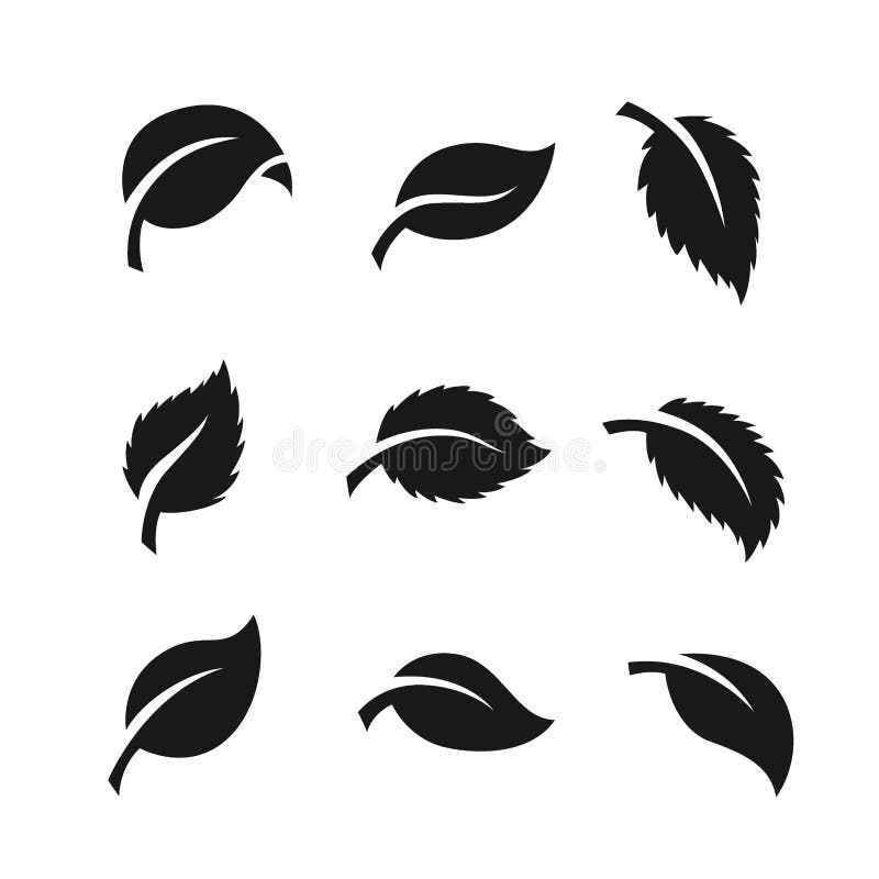 Artistic Collection of Black Leaves Set. Vector Illustration Stock ...