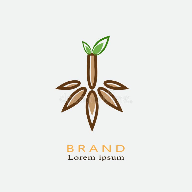 Cassava Plant Logo. Cassava Root Stock Vector - Illustration of harvest ...