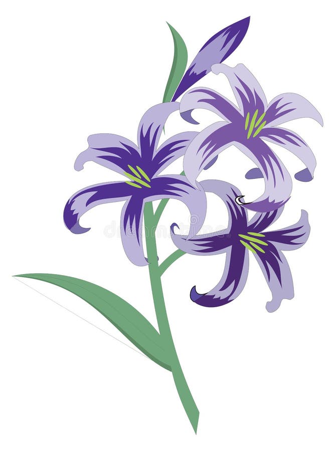 Easter Lily Vector