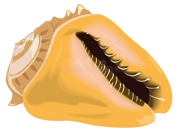 Helmet Shell Vector Illustration Transparent Background Stock Vector ...