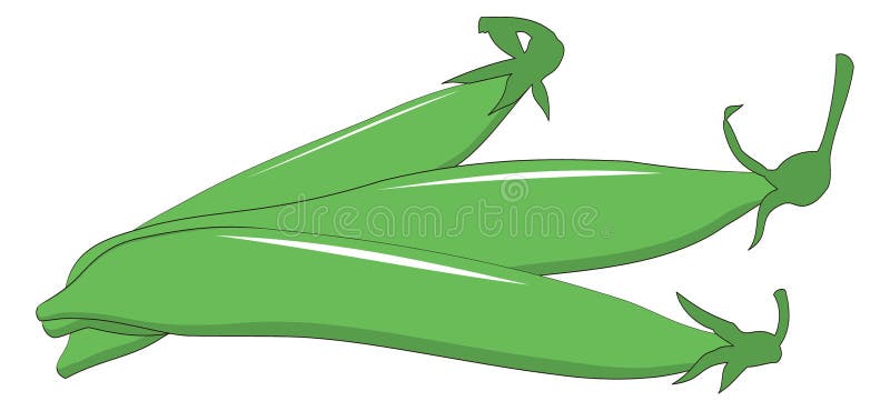Snow Pea Plant Stock Illustrations – 74 Snow Pea Plant Stock ...