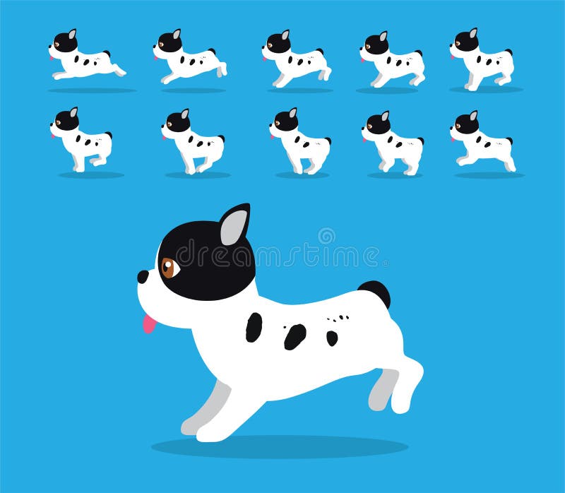 Animal Animation Sequence Dog Boston Terrier Cartoon Vector Coat 1 ...