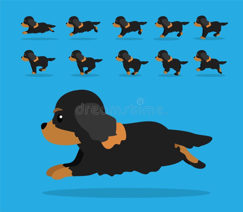 Animal Animation Sequence Dog Cocker Spaniel Cartoon Vector Coat 1 ...
