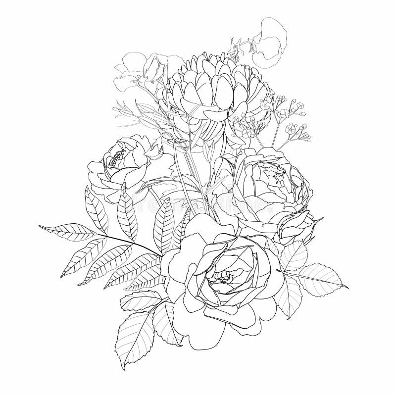 Aster Continuous Line Drawing Stock Illustrations – 20 Aster Continuous ...