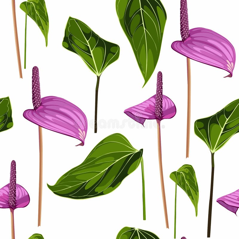 Anthurium. Seamless Floral Pattern with Violet Glossy Flowers and ...