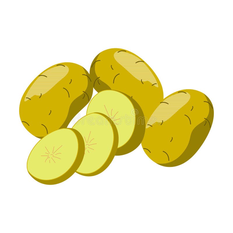 Potato Illustration, World Food Day Symbol, a Simple Flat Vector Design ...