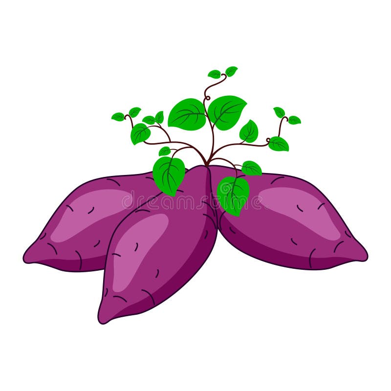 Potato Illustration, World Food Day Symbol, a Simple Flat Vector Design ...