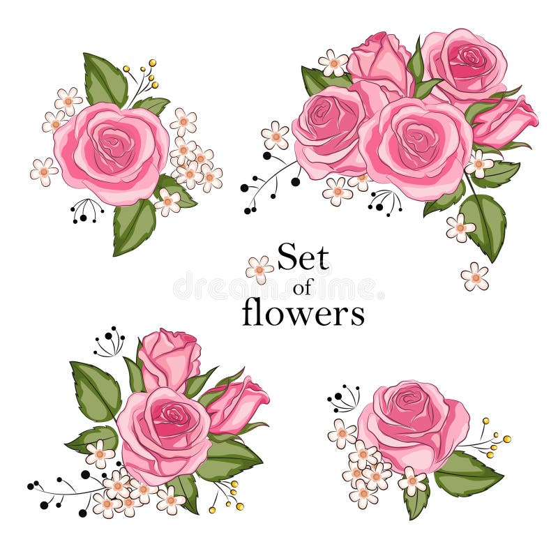Illustration of Beautiful Pink Flowers of Roses. Stock Vector ...