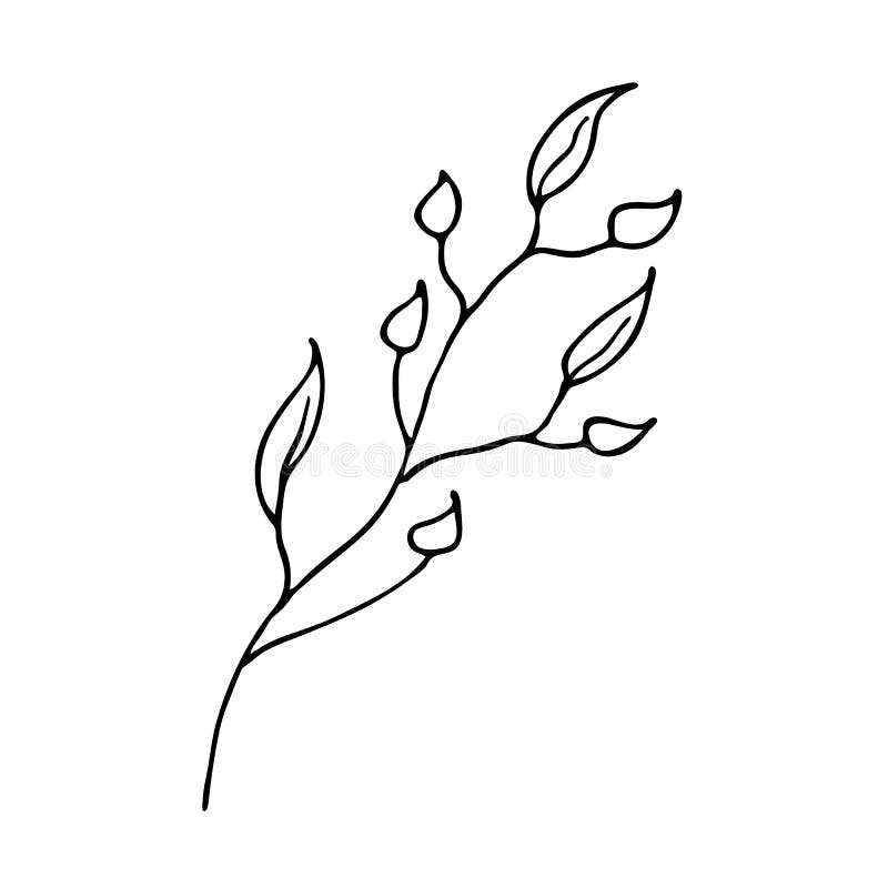 The Doodle Branch. a Simple Vector Drawing by Hand in a Black Outline ...