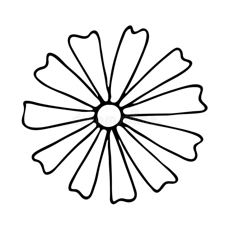 Daisy doodle drawing stock illustration. Illustration of white - 119675782