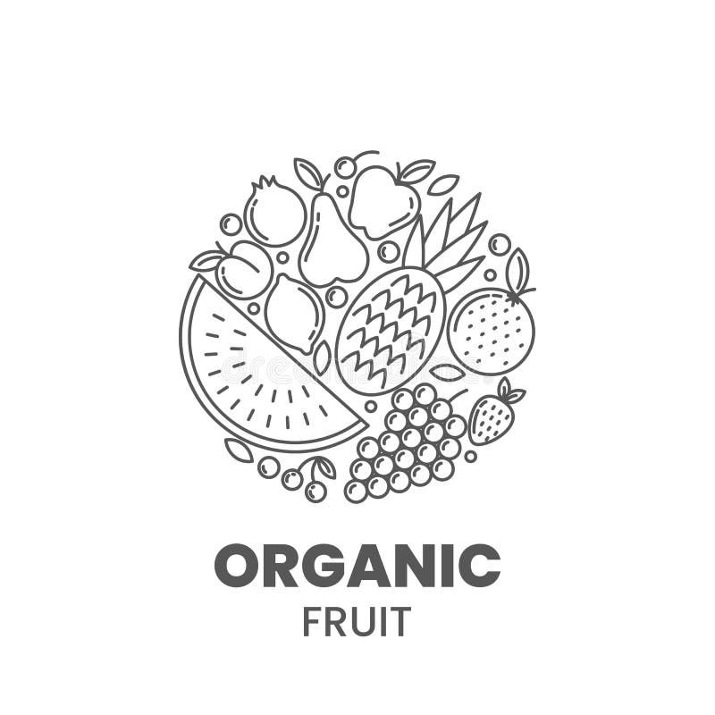 Organic Fruit Logo Template. Outline Emblem in One Color Stock Vector ...