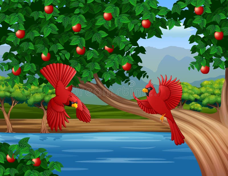 Flying cardinal cartoon stock vector. Illustration of mascot - 67075081