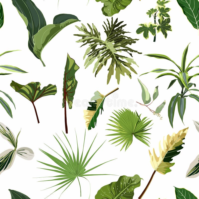 Seamless Pattern with Traditional Home Plant Leaves, Monstera, Palm ...