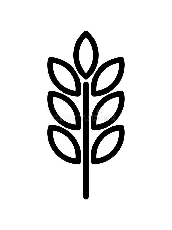 Wheat Vector Icon Design Illustration. Oat Symbol .Agriculture Concept ...