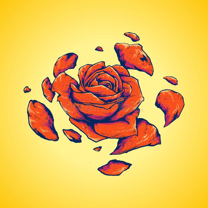 Rose flower falling apart stock vector. Illustration of isolated ...