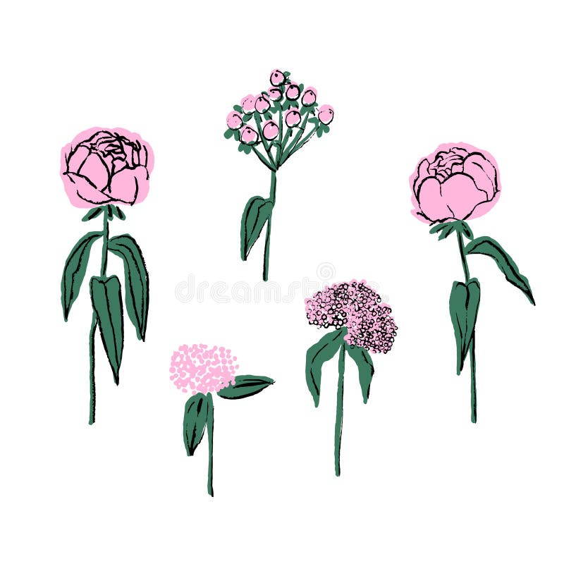 Vector Pen Drawing Retro Flower Illustration Graphic Resource Stock ...