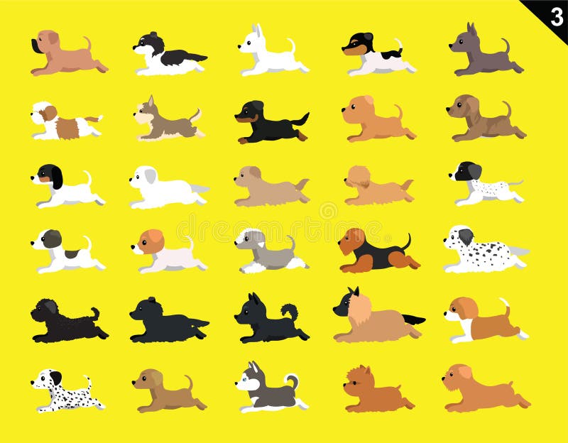 Animal Animation Sequence Dog Various Breeds Set 3 Cartoon Vector Stock ...