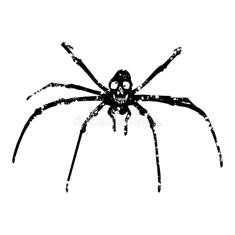 Hand-drawn Spider with a Skull on Its Body. Stock Vector - Illustration ...