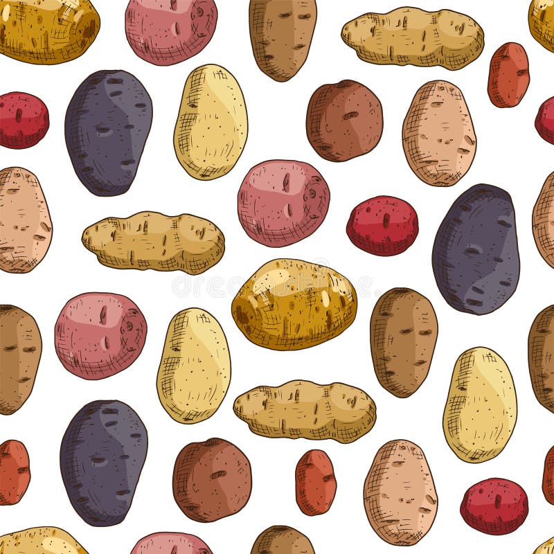 Hand Drawn Colorful Potato. Seamless Pattern. Stock Vector ...