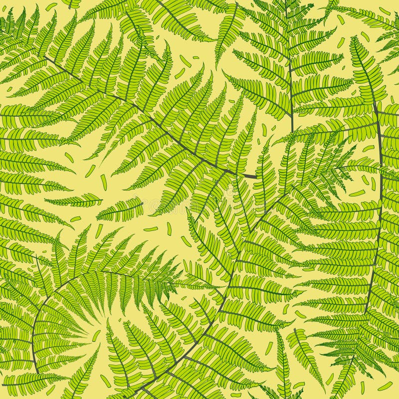 Fern Plant Leaf Seamless Pattern. Tropical Branches. Botanical Motif ...